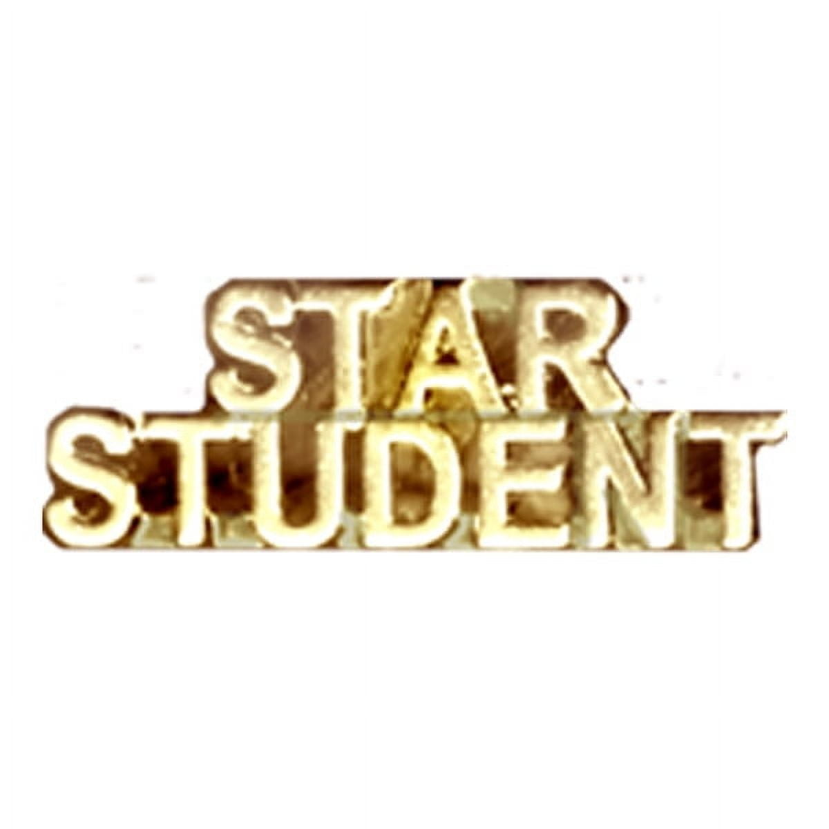 12 pieces 2" Custom Activity Scouts Applique Fun Patches - Star Student ...