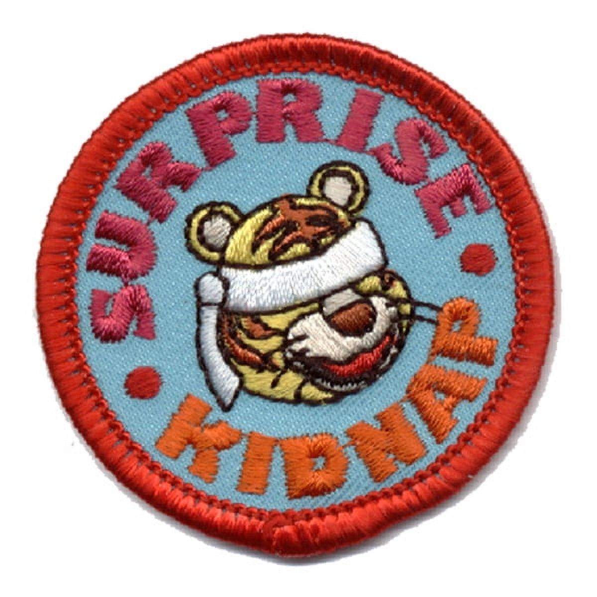 12 pieces 2" Custom Activity Scouts Applique Fun Patches - Surprise ...