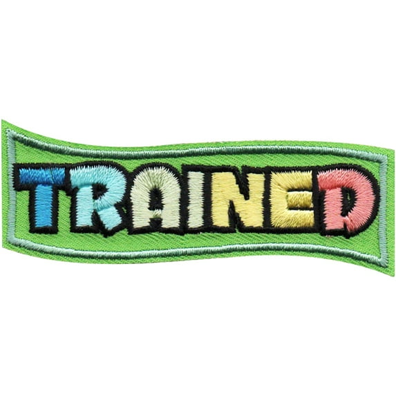 12 pieces 2" Custom Activity Scouts Applique Fun Patches - Trained ...