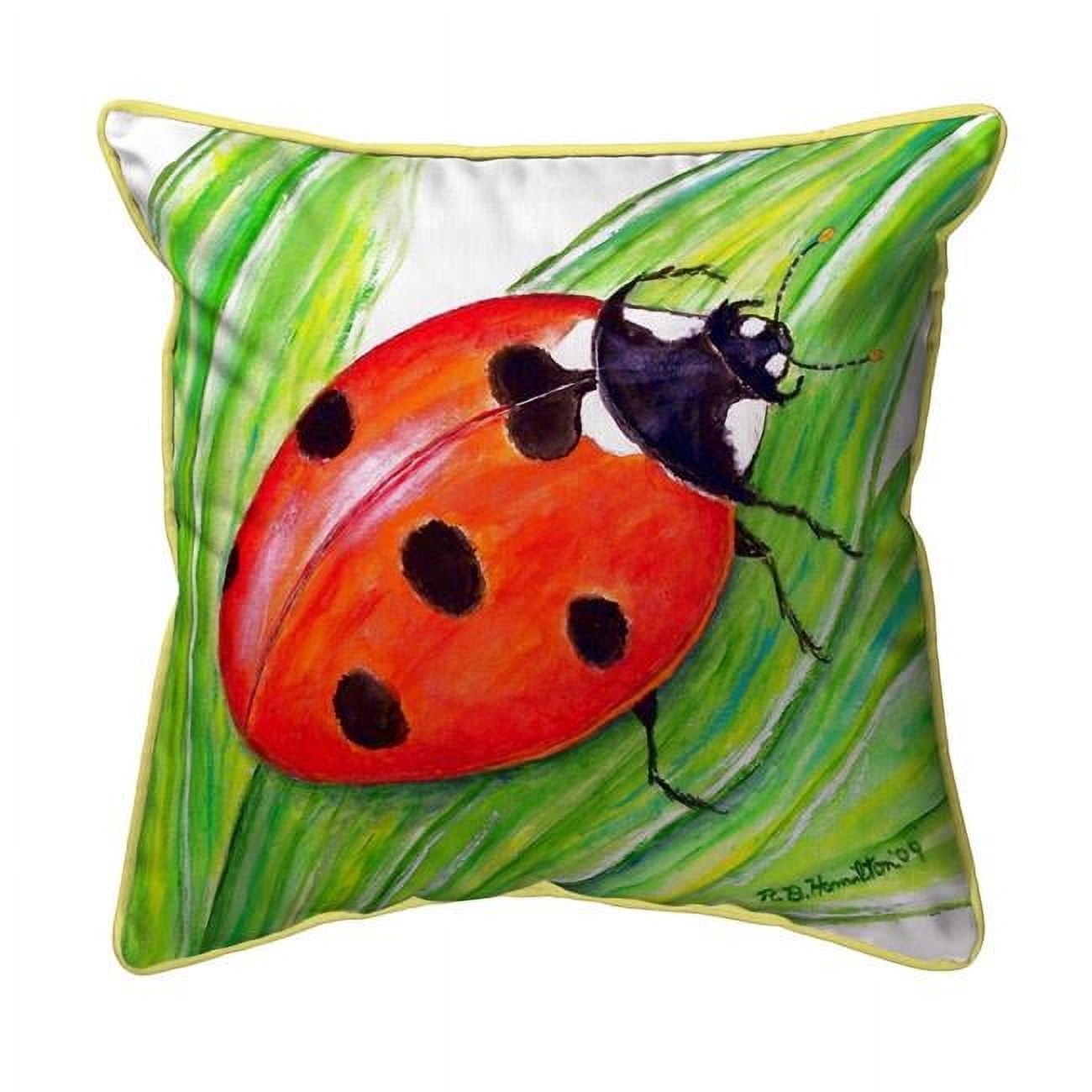 12 x 12 in. Ladybug Small Indoor & Outdoor Pillow - Walmart.com