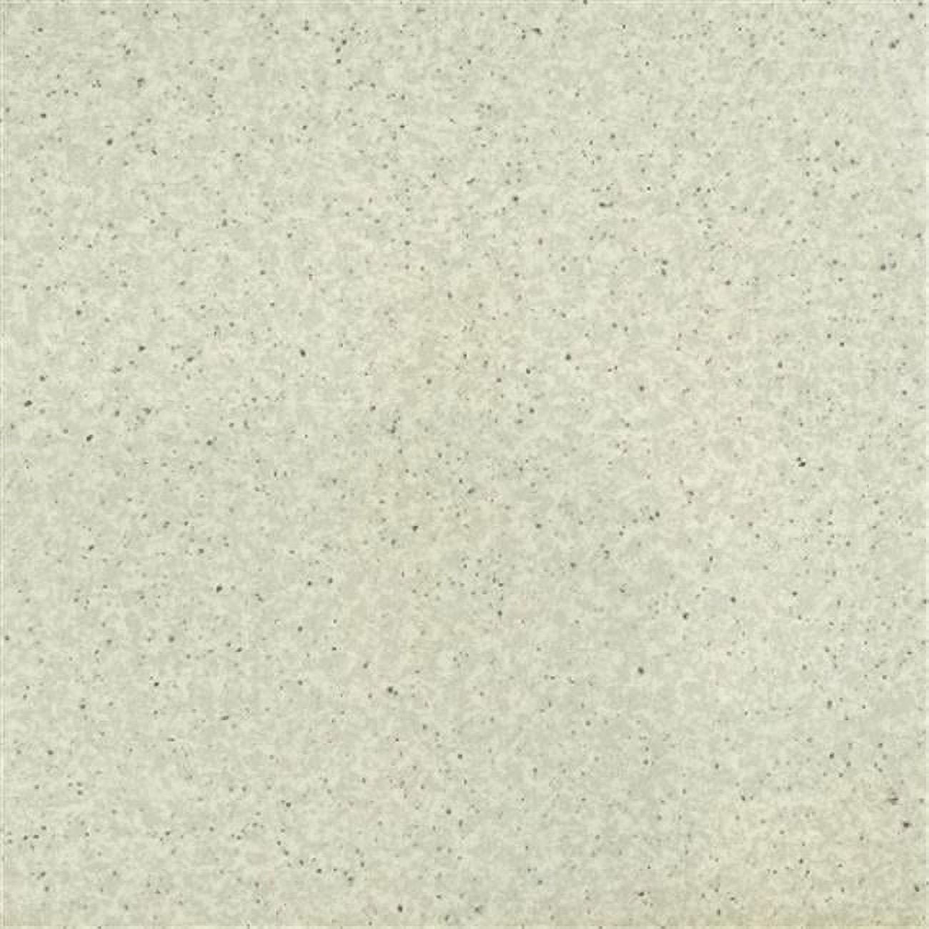 12 x 12 in. Sterling Gray Speckled Granite Self Adhesive Vinyl Floor ...