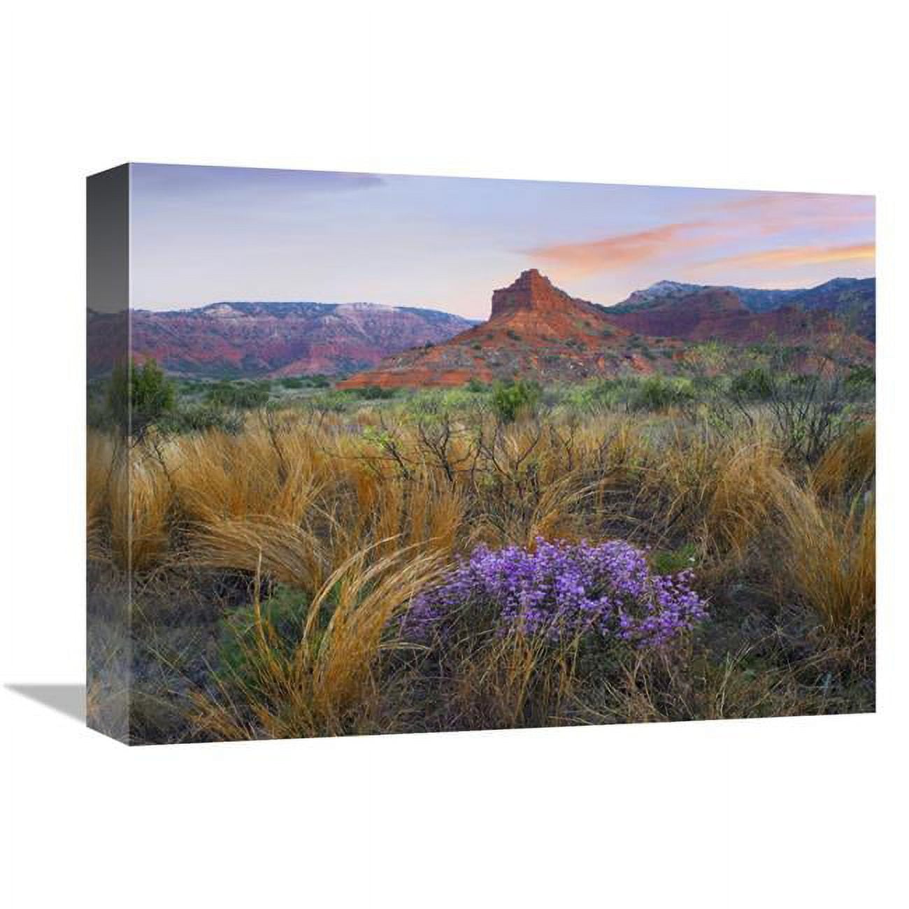 12 x 16 in. Caprock Canyons State Park, Texas Art Print - Tim ...