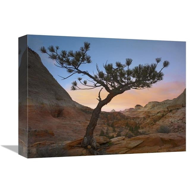 12 x 16 in. Lone Pine Tree with East & West Temples in the Background ...