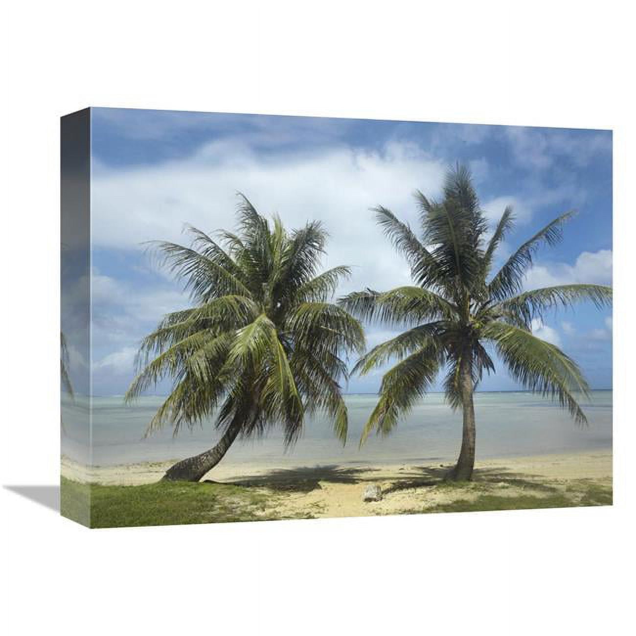 12 x 16 in. Palm Trees, Agana Beach, Guam Art Print - Tim Fitzharris ...
