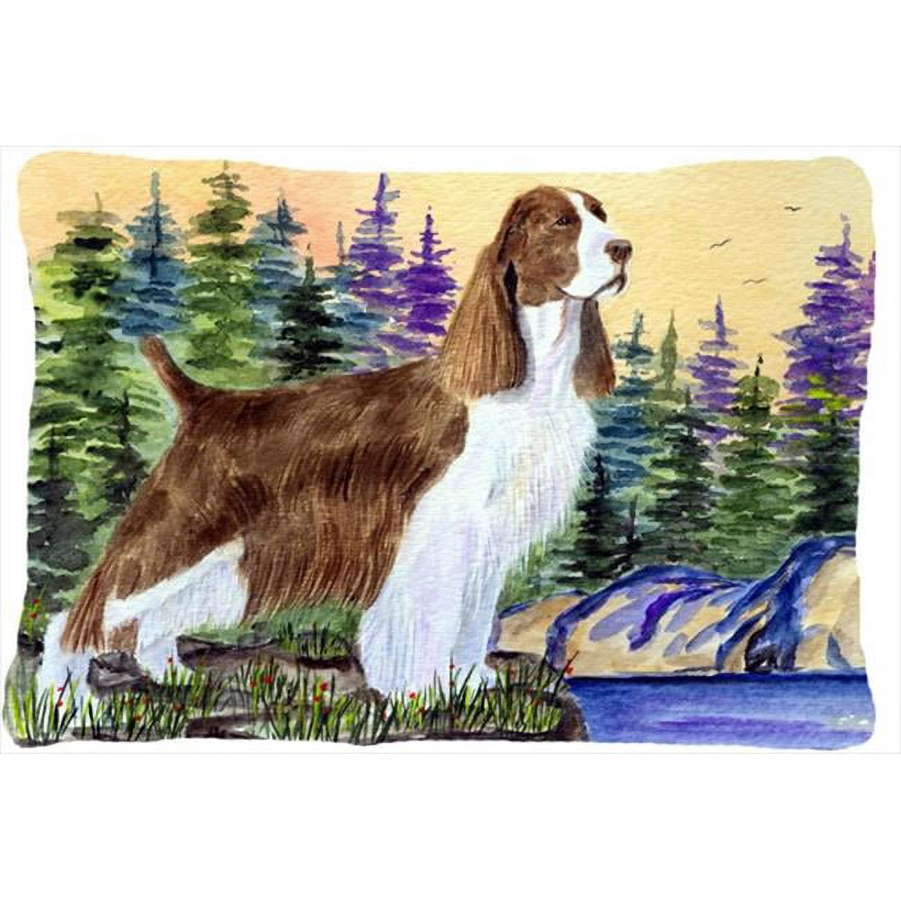 12 x 16 in. Springer Spaniel Decorative Indoor & Outdoor Fabric Pillow ...