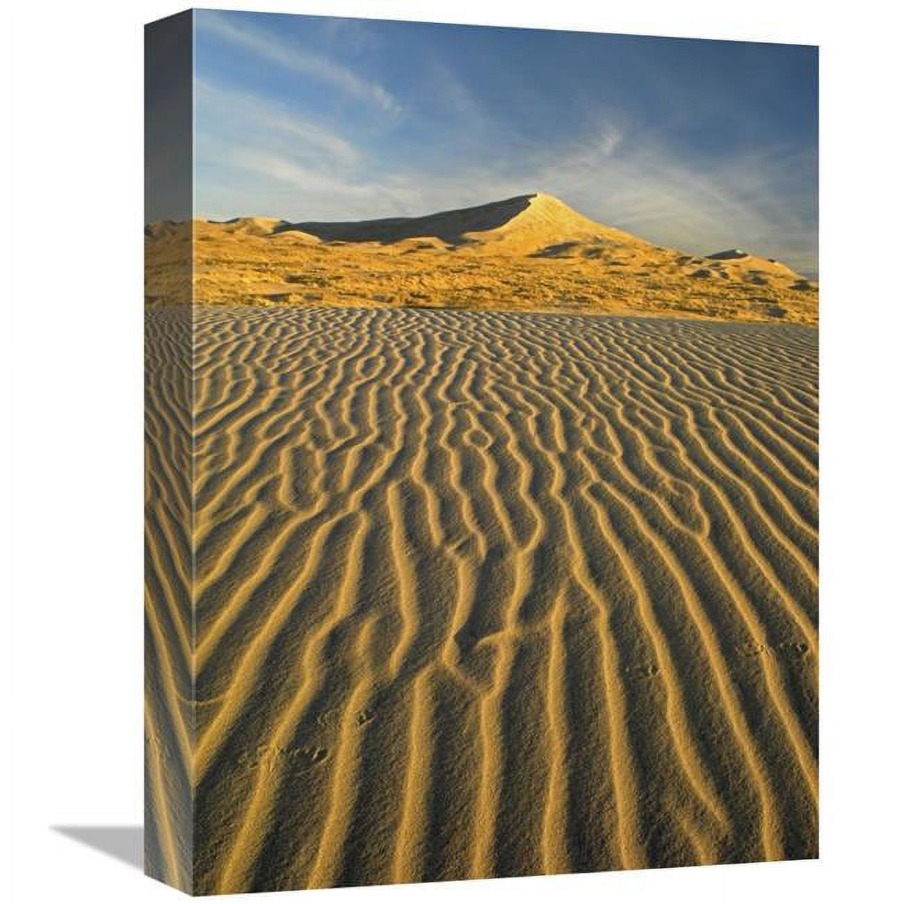 12 x 16 in. Wind Ripples in Kelso Dunes, Mojave National Preserve ...