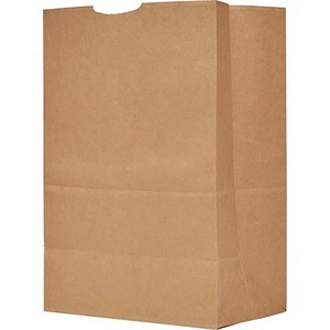 12 x 17 x 7 in. Packaging Grocery Sack Bag - Pack of 500 - Walmart.com