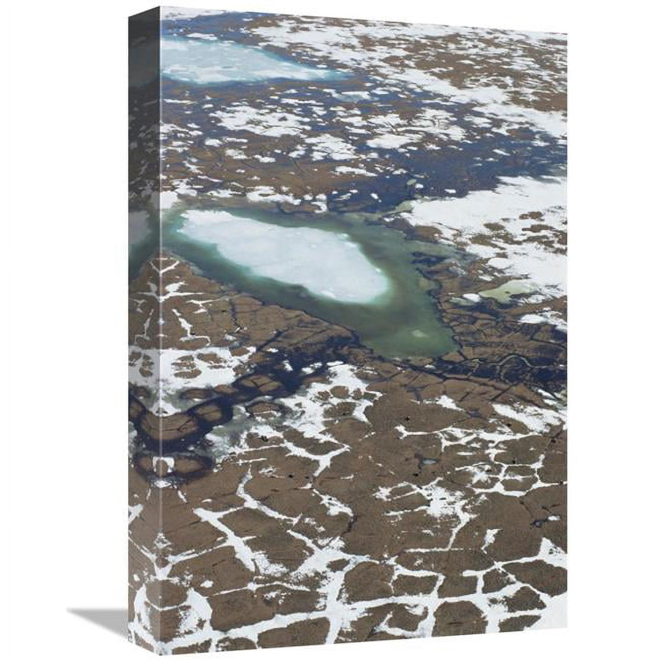 12 x 18 in. Aerial View of Tundra Polygons & Group of Muskox Arctic ...