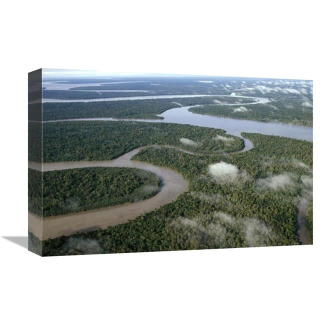 12 x 18 in. Aerial of Tropical Rainforest & Winding Rivers, Kikori ...