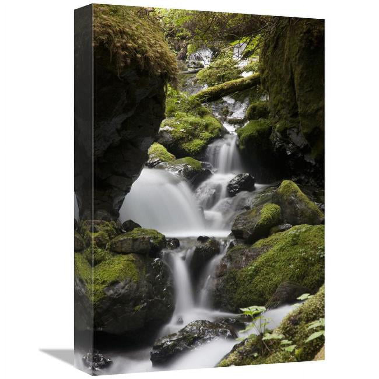 12 x 18 in. Cascading Creek in Temperate Rainforest Interior, Sitka ...
