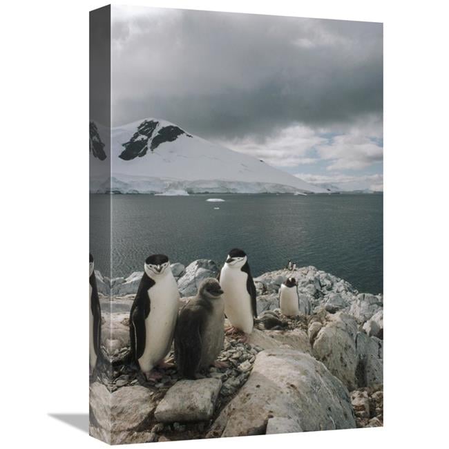 12 x 18 in. Chinstrap Penguin Parents with Chick, Paradise Bay ...