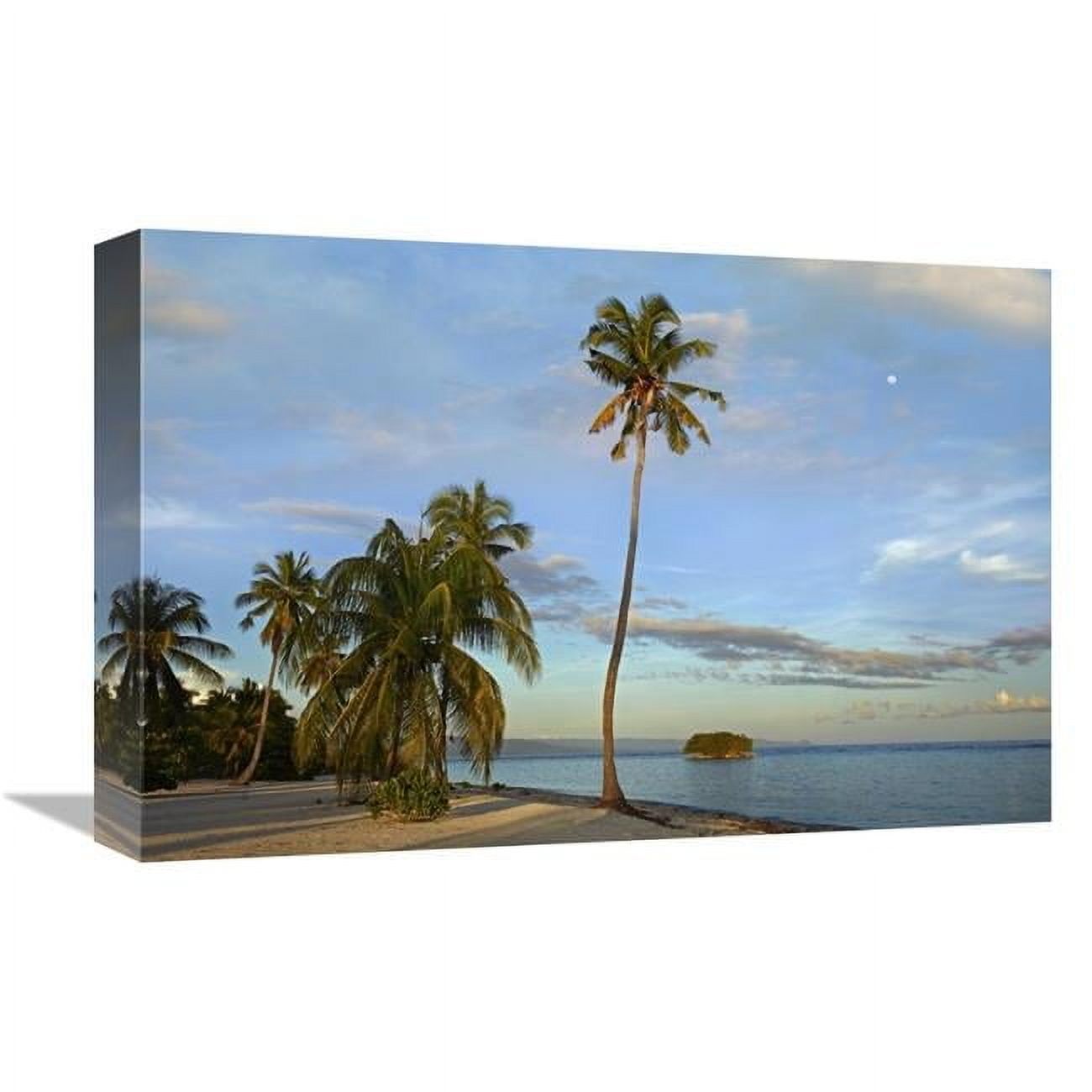 12 x 18 in. Coconut Palm Trees on Pamilacan Island, Philippines Art ...