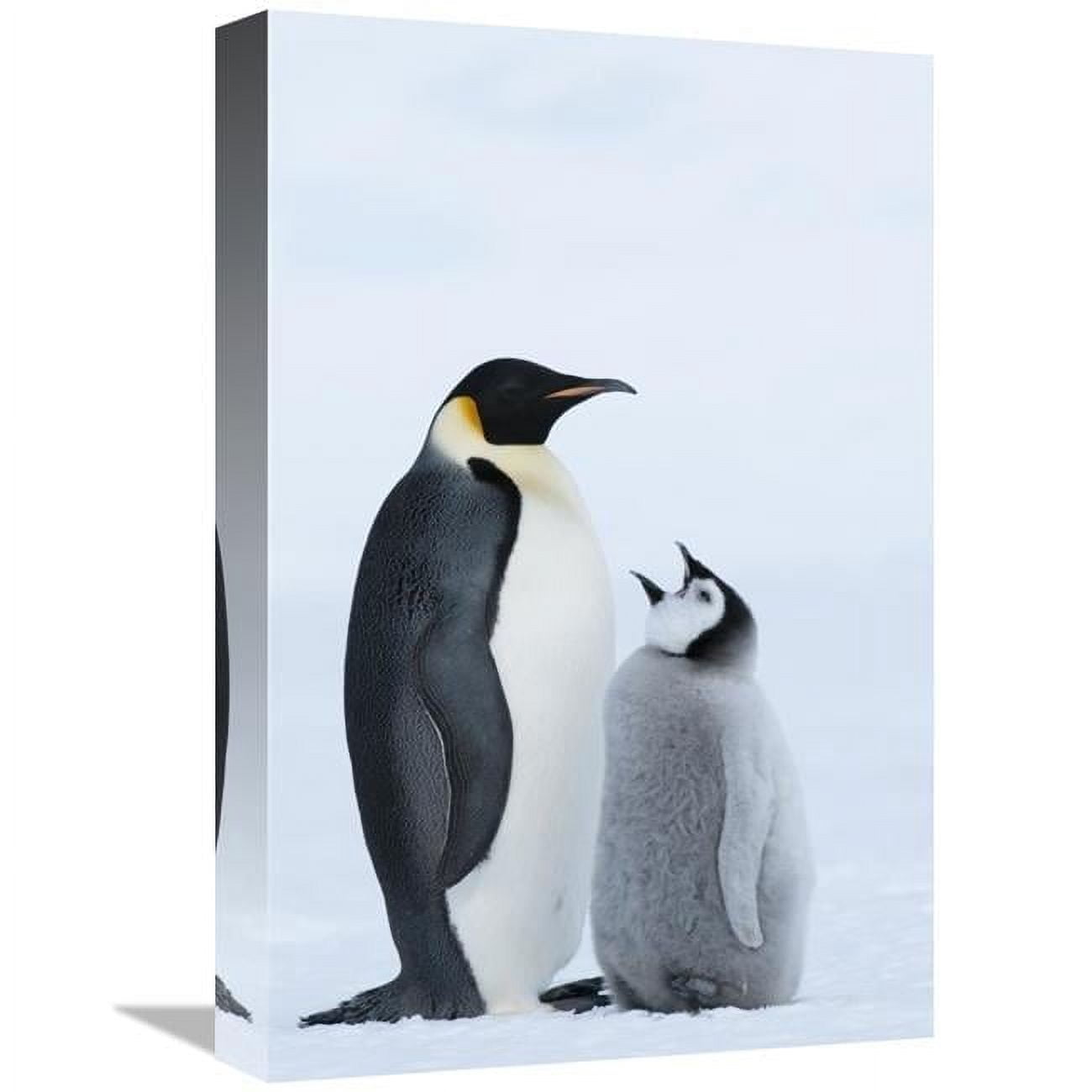 12 x 18 in. Emperor Penguin with Chick Begging for Food, Prydz Bay ...