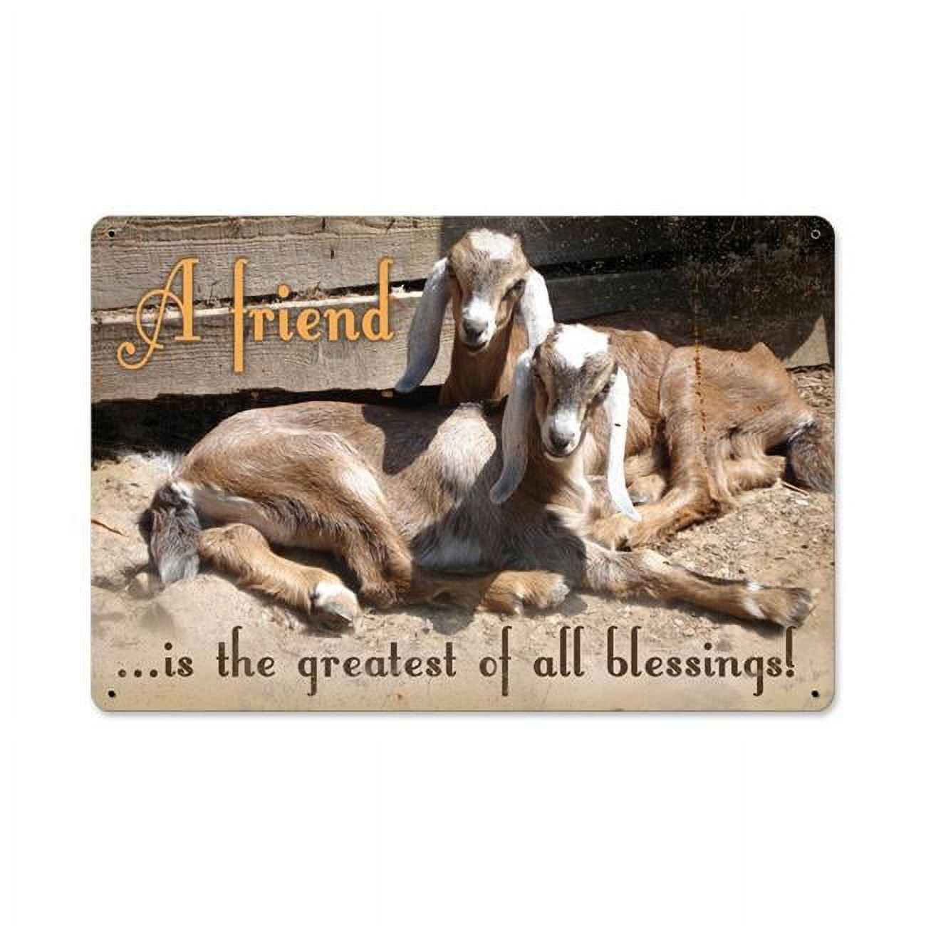 12 x 18 in. Friend is a Blessing Satin Sign - Walmart.com