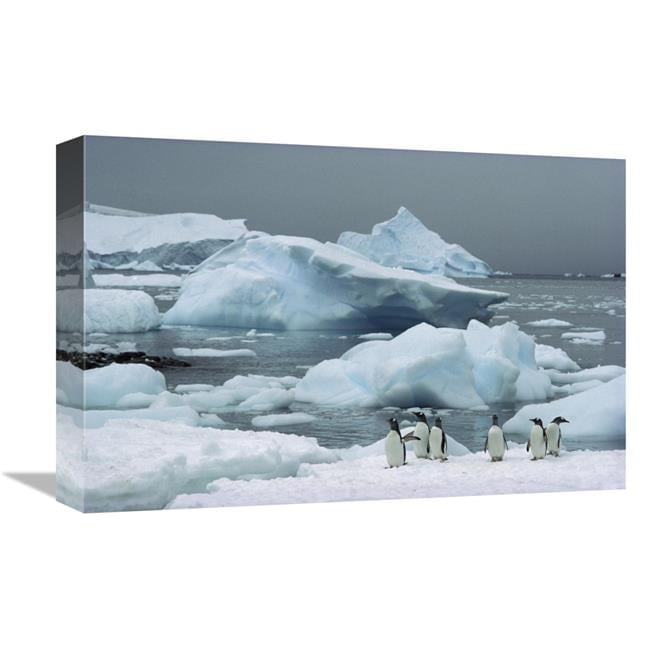 12 x 18 in. Gentoo Penguins with Icebergs, Couverville Island ...