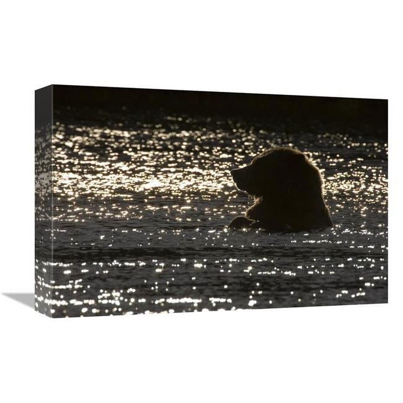 12 x 18 in. Grizzly Bear in Water, Katmai National Park, Alaska Art ...