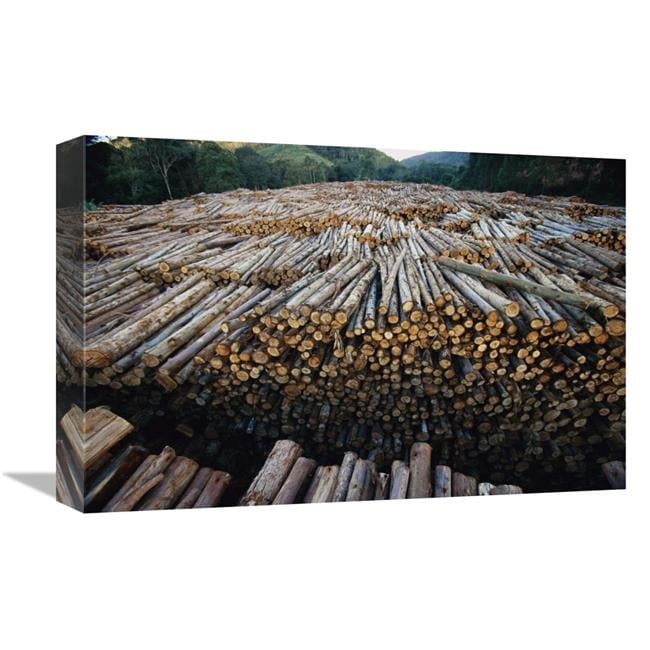 12 x 18 in. Gum Tree Lumber, the Worlds Biggest Source of Eucalyptus ...