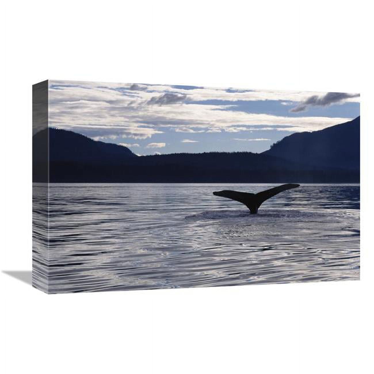 12 x 18 in. Humpback Whale Tail At Sunset, Southeast Alaska Art Print ...