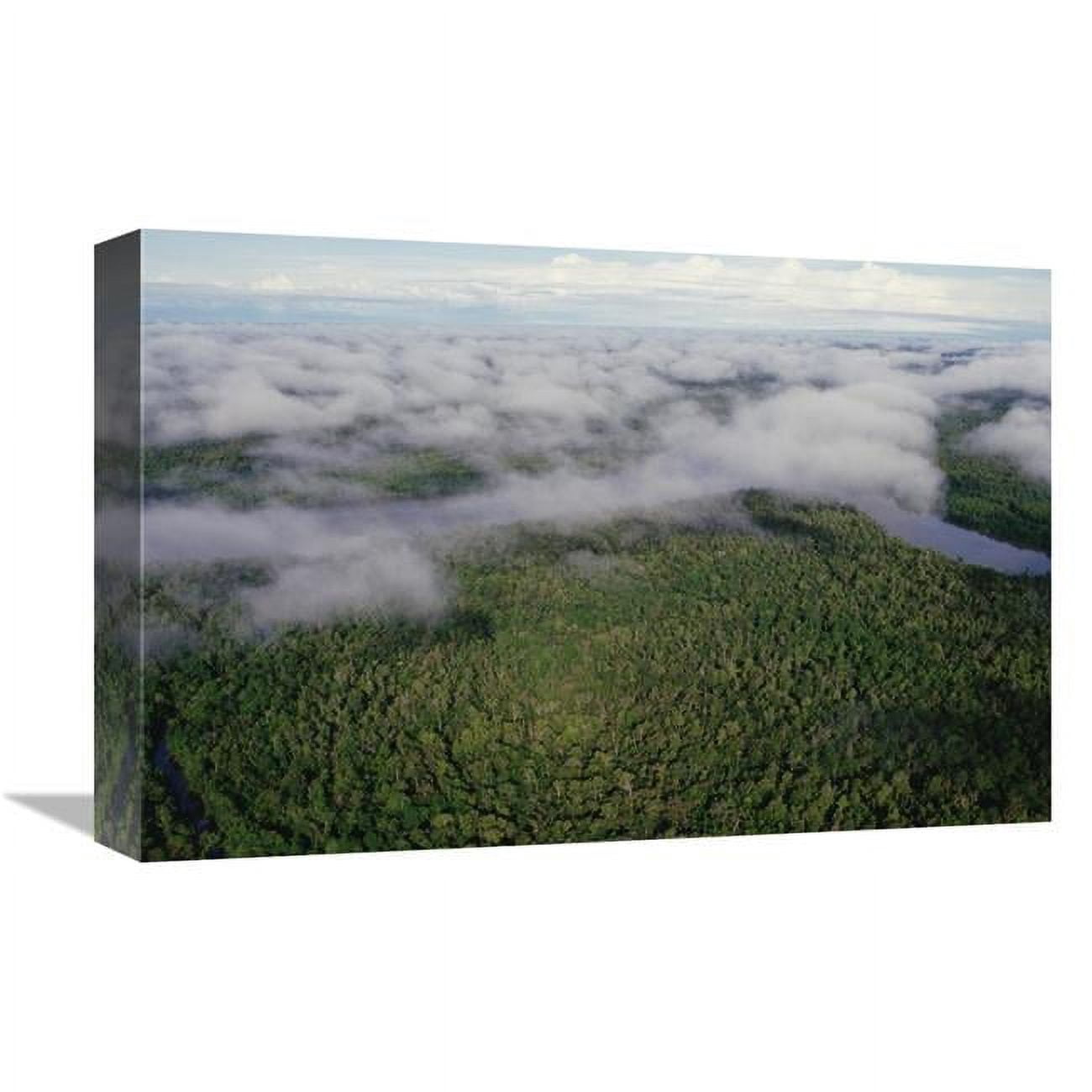 12 x 18 in. Kikori River & Runs Through Rainforest, Kikori Delta, Papua ...