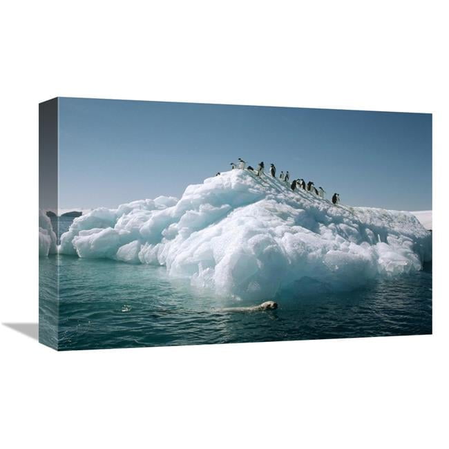 12 x 18 in. Leopard Seal Circles Adelie Penguins on Ice Floe, Hope Bay ...