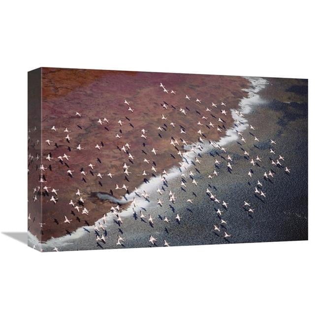 12 x 18 in. Lesser Flamingo Group Flock Flying Over Soda Flats at the ...