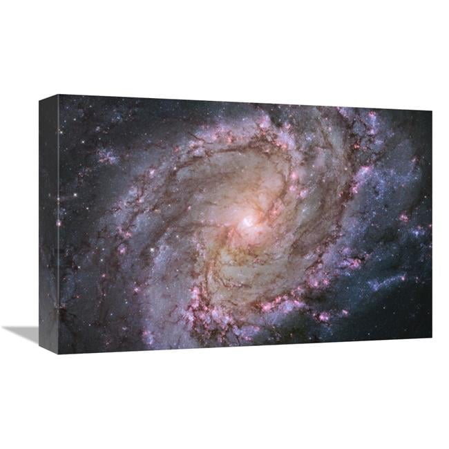 12 x 18 in. M83 - Spiral Galaxy Art Print - NASA - Walmart.com