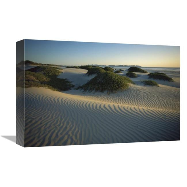 12 x 18 in. Sand Dunes Stabilized by Vegetation, Magdalena Island, Baja ...