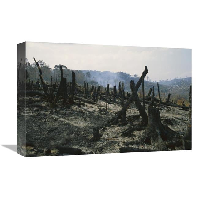 12 x 18 in. Slash & Burn Agriculture, Where Forest Is Burned to Create ...