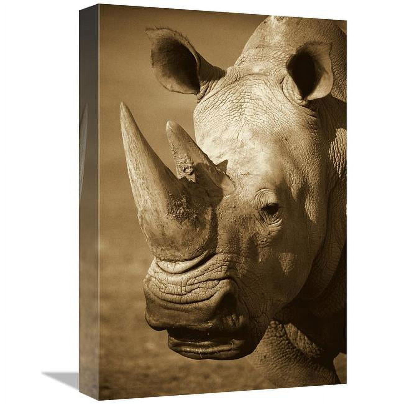 12 x 18 in. White Rhinoceros Portrait, Native to Africa - Sepia Art ...
