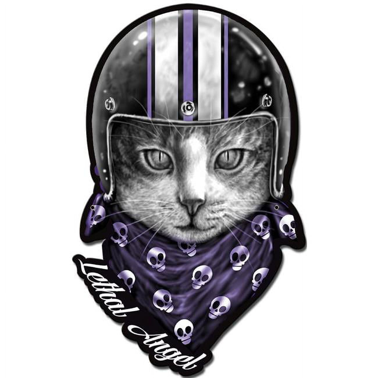 12 x 19 in. Lethal Angel Cat Helmet Plasma Metal Sign - Walmart.com