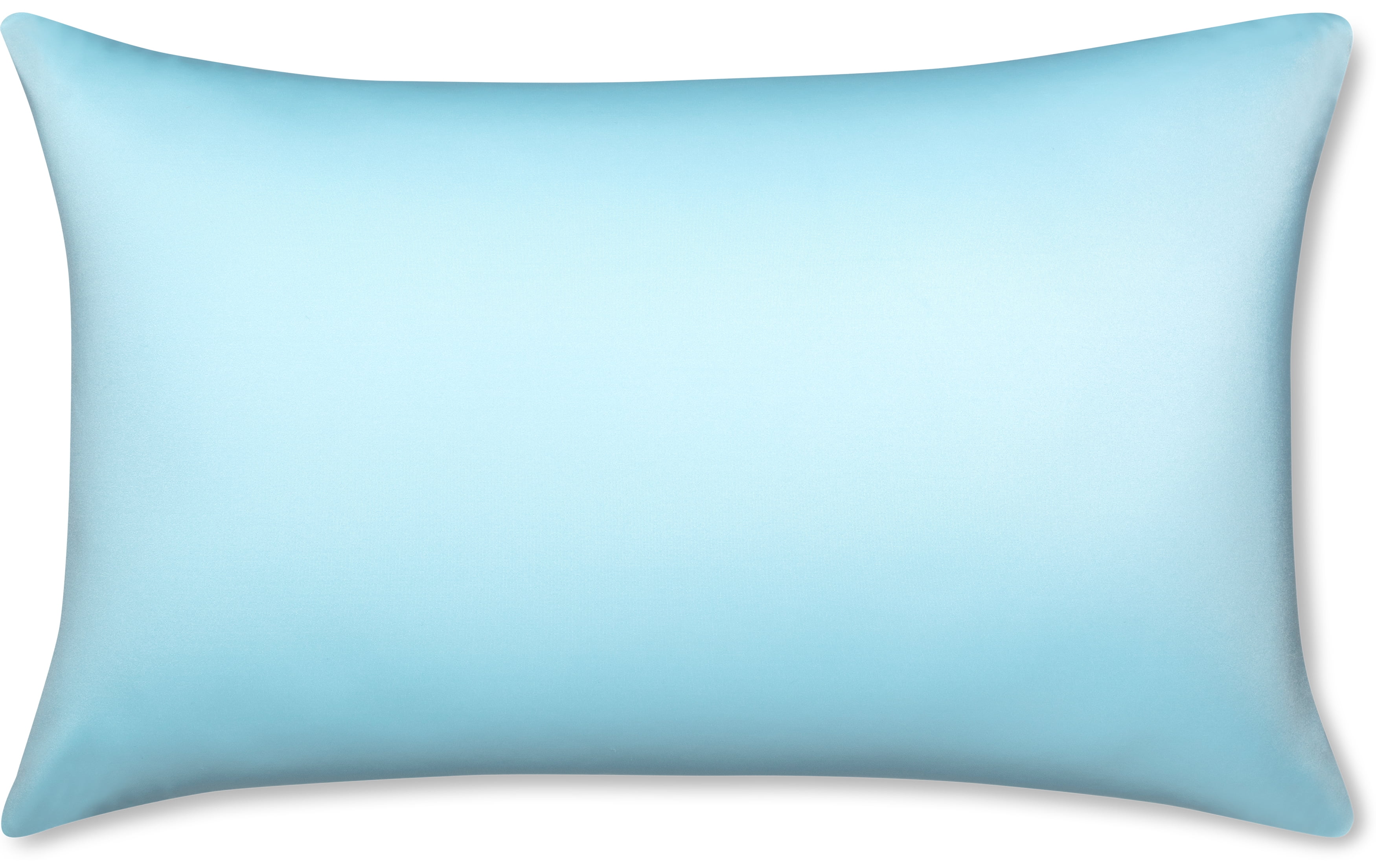 12" x 20" Throw Pillow – Sweat Baby Blue: 1 PCS Luxurious Premium ...