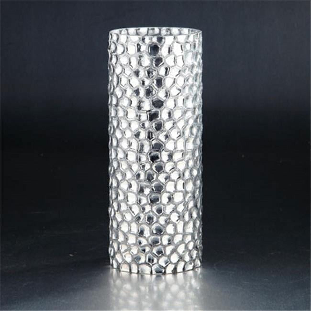 12 x 4.5 in. Glass Vase, Silver - Walmart.com
