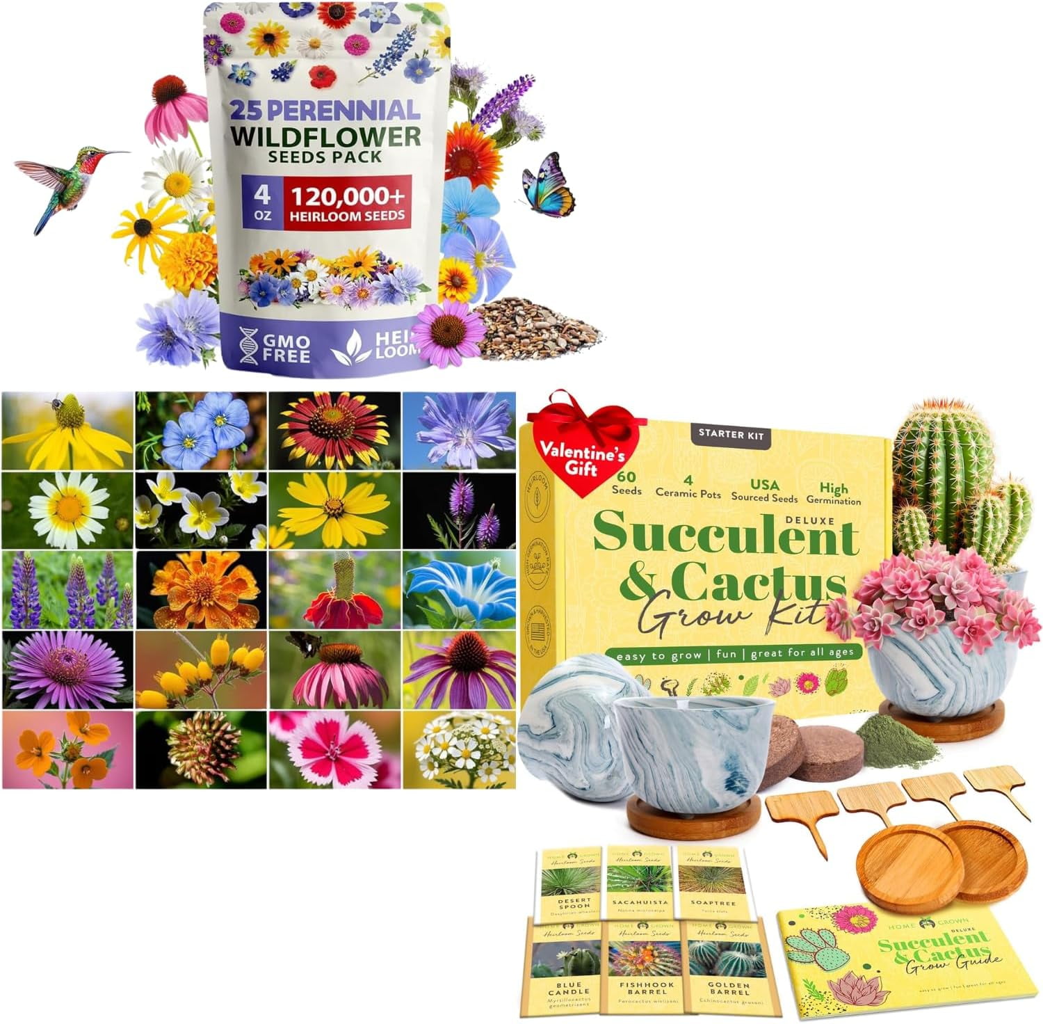 120,000+ Wildflower Seeds Bulk &Deluxe Succulent & Cactus Seed Grow Kit ...