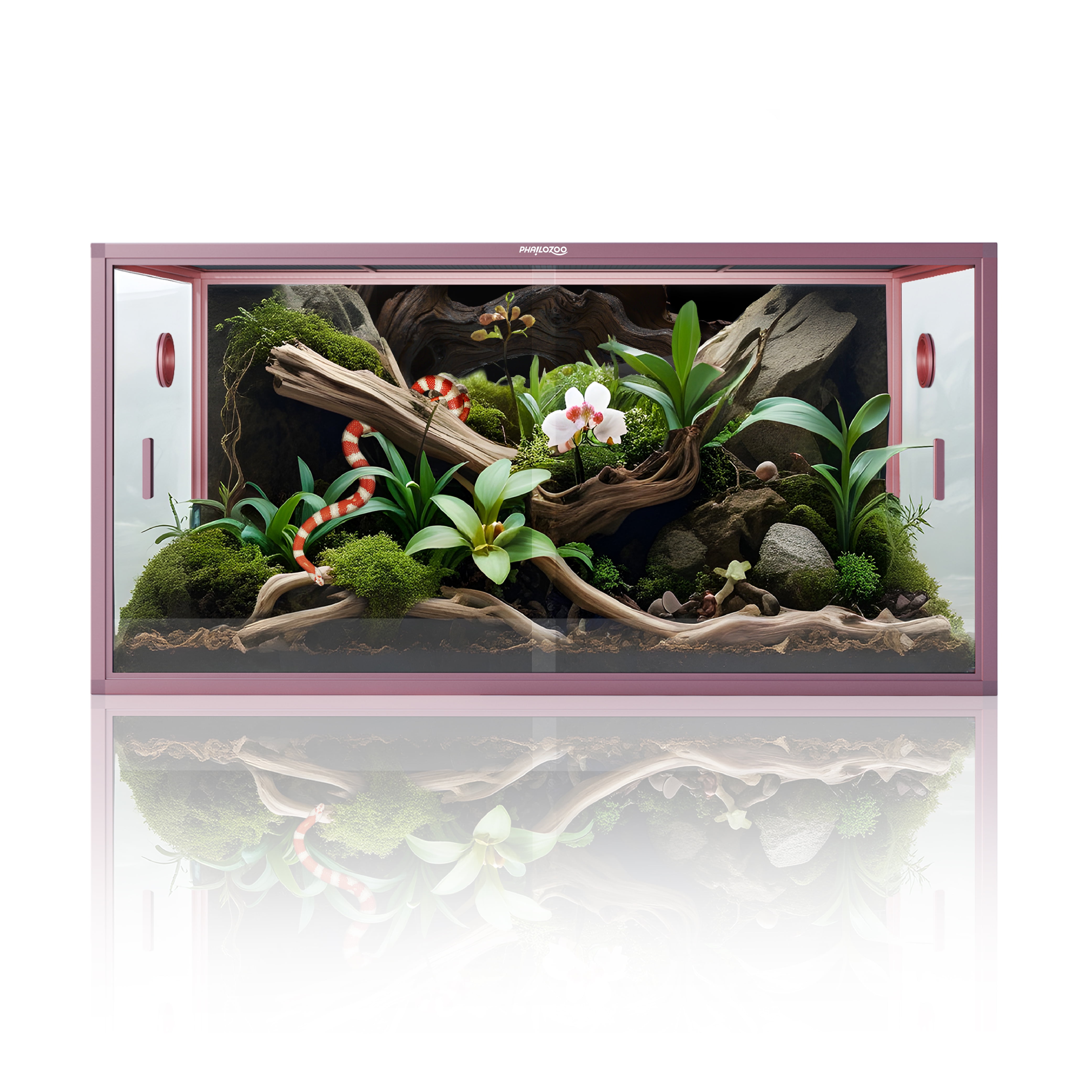 120 Gallon Ball Python Enclosure 4x2x2 - Walmart.com