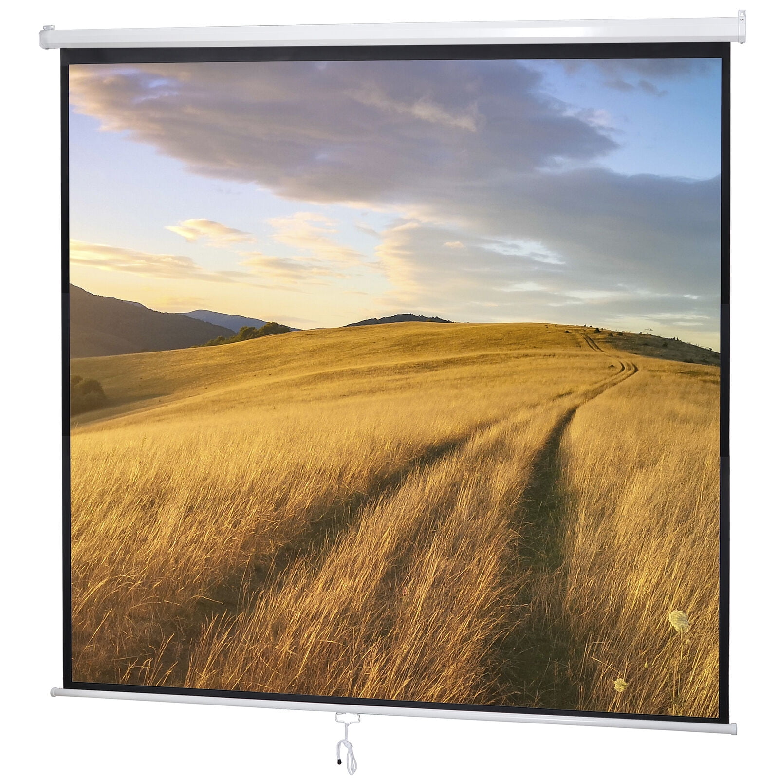120'' Manual Pull Down Projector Screen 1:1 Format HD Home Movie ...
