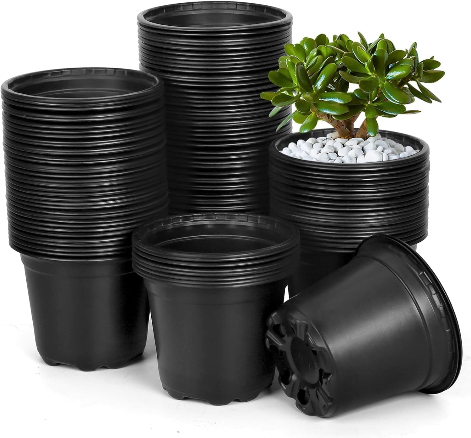 120 Packs 6 Inch Plant Nursery Pots, Plastic Seeds Starter Pots with ...