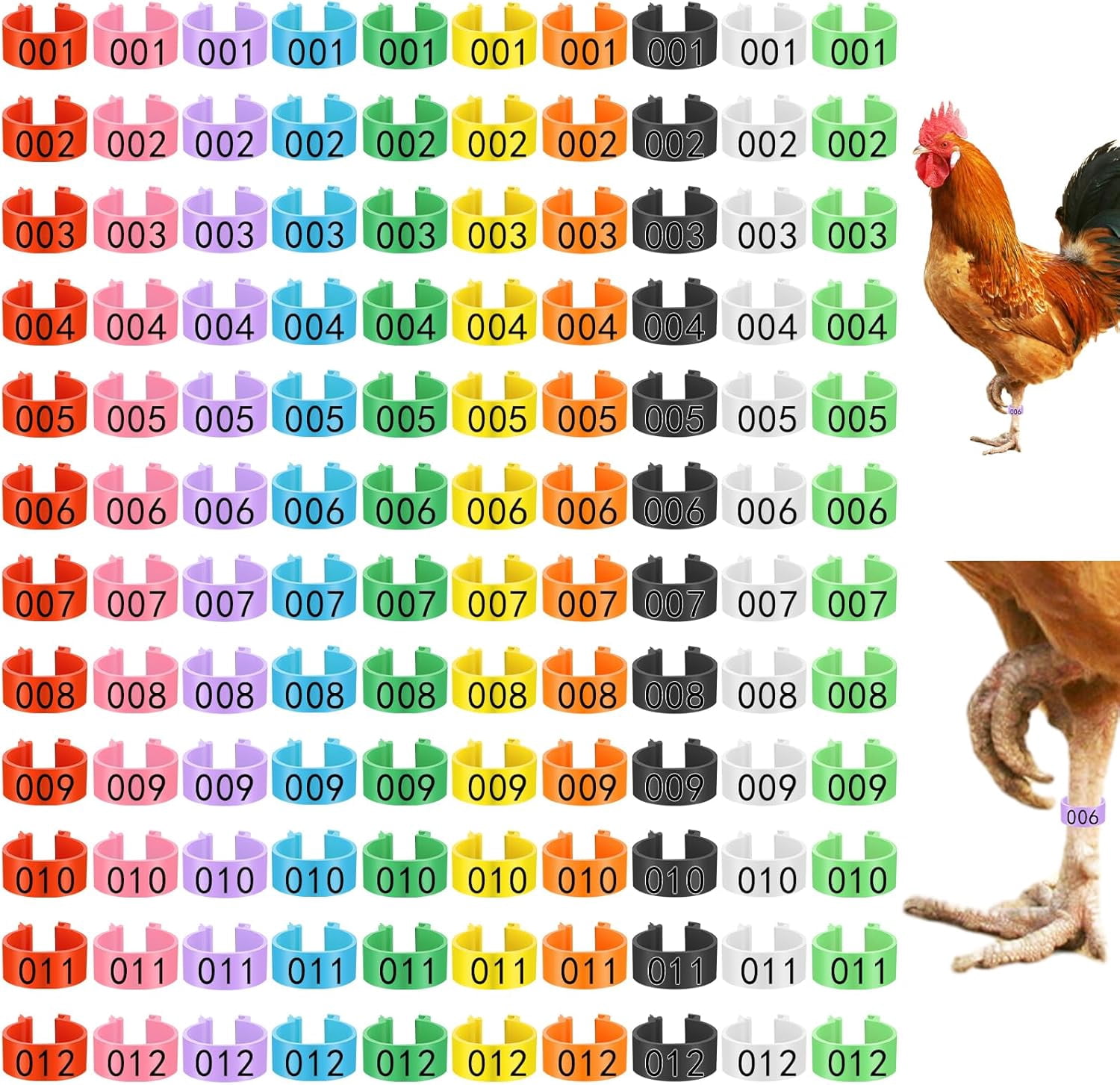 120 Pcs Chicken Leg Bands, 10 Color Numbered Chicken Leg Rings ...