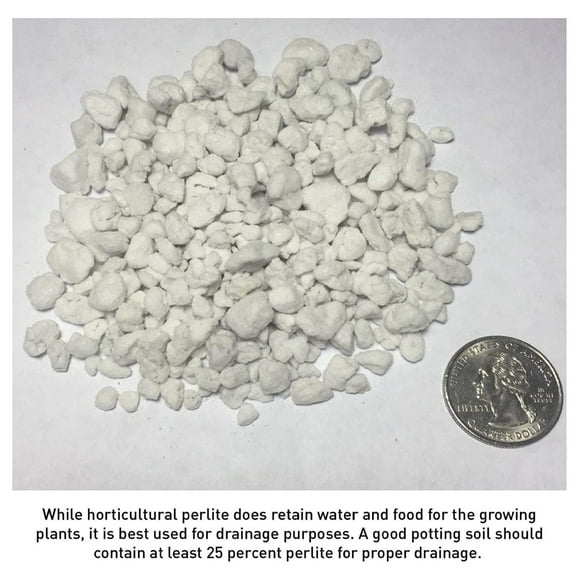 4 Cubic Feet Perlite