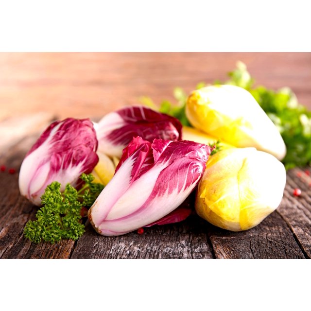 Italian Radicchio, Endive and Chicory Seed AFN1Mix 500+ Seeds for ...