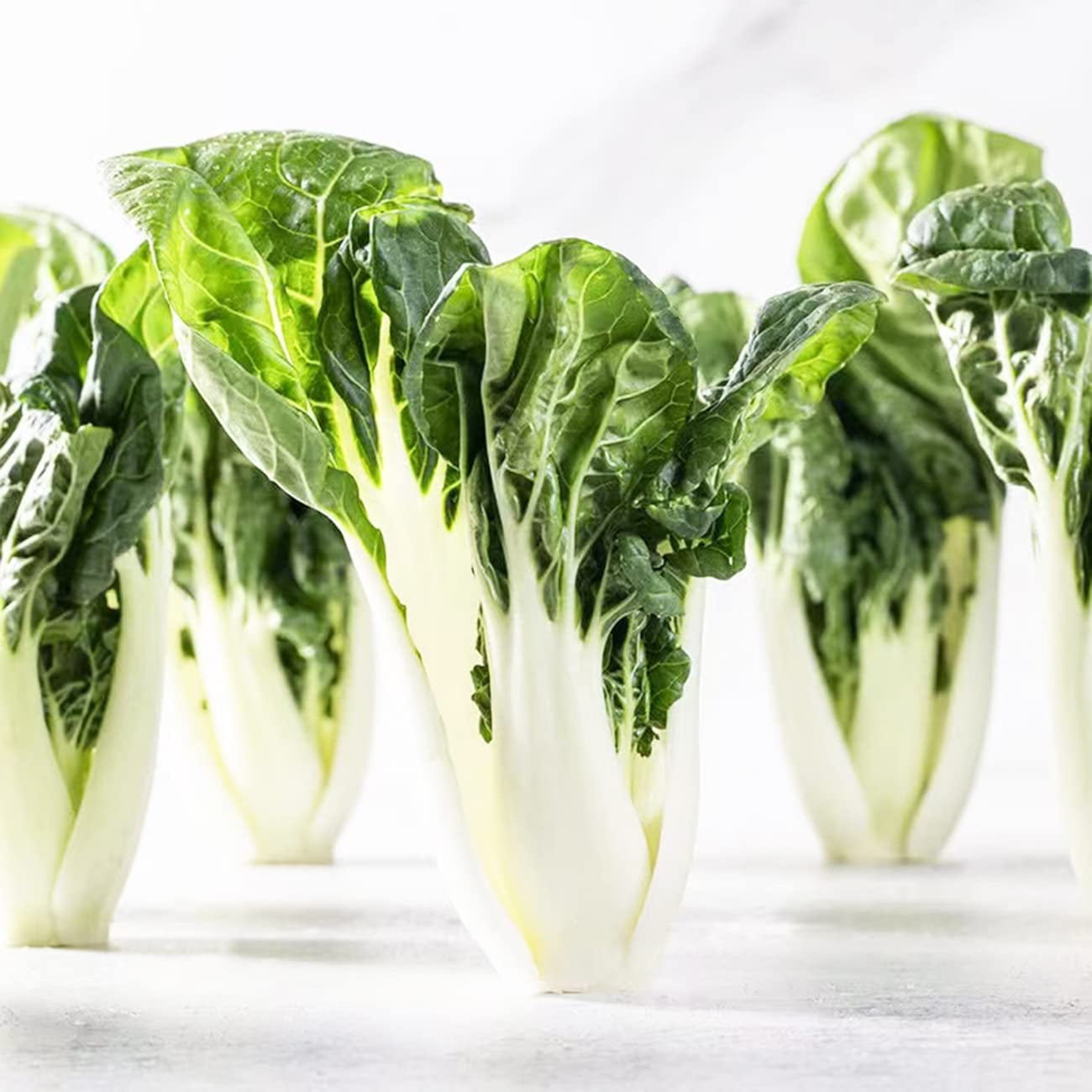 1200+ Cabbage Pak AJH3 Choi Seeds for Planting White Stem Great ...