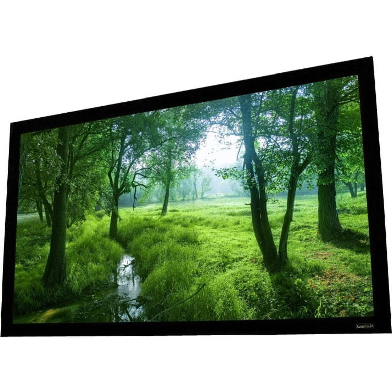 120IN DIAG 16:9 ELARA NANOEDGE FIXED FRAME SCREEN - Walmart.com