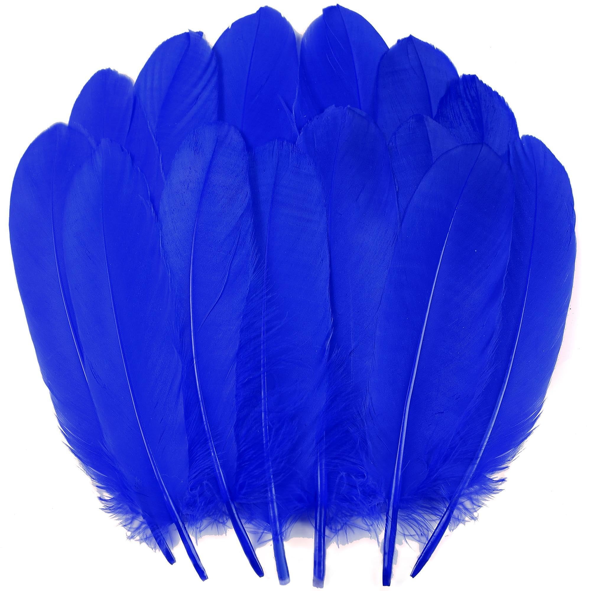 120Pcs 6-8inch Craft Colored Feathers for DIY Crafts,Angel Wings,Dream ...