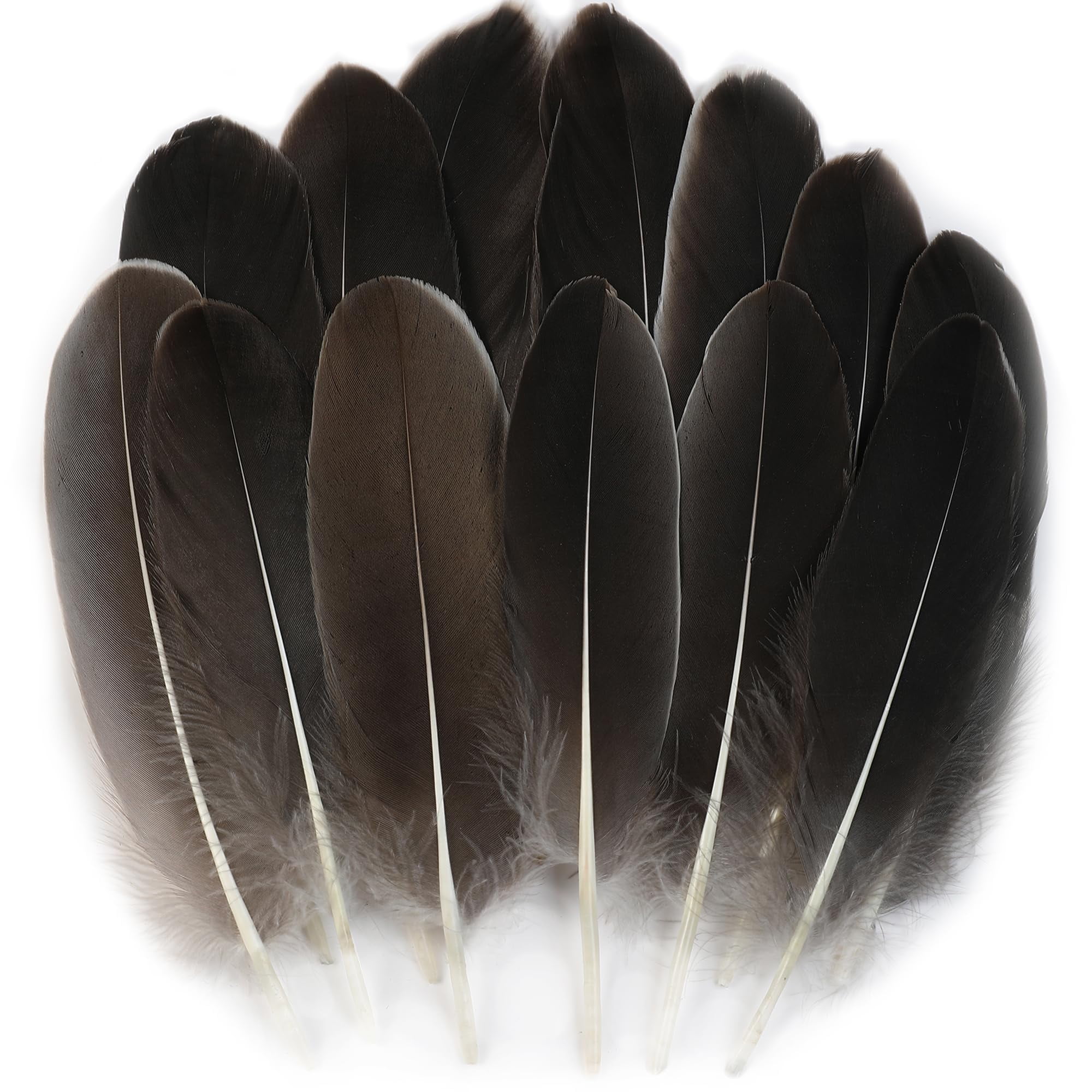 120Pcs 6-8inch Craft Colored Feathers for DIY Crafts,Angel Wings,Dream ...