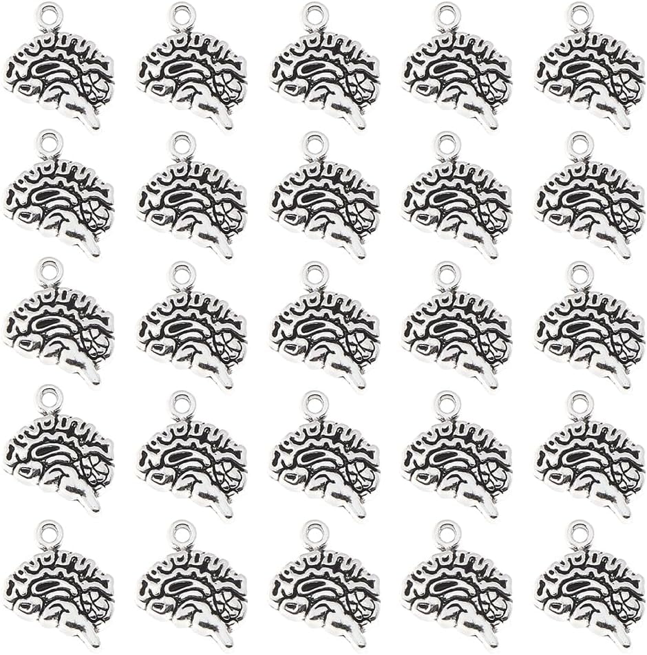 120Pcs Brain Charm Tibetan Style Alloy Charms 3D Textured Anatomy Human ...