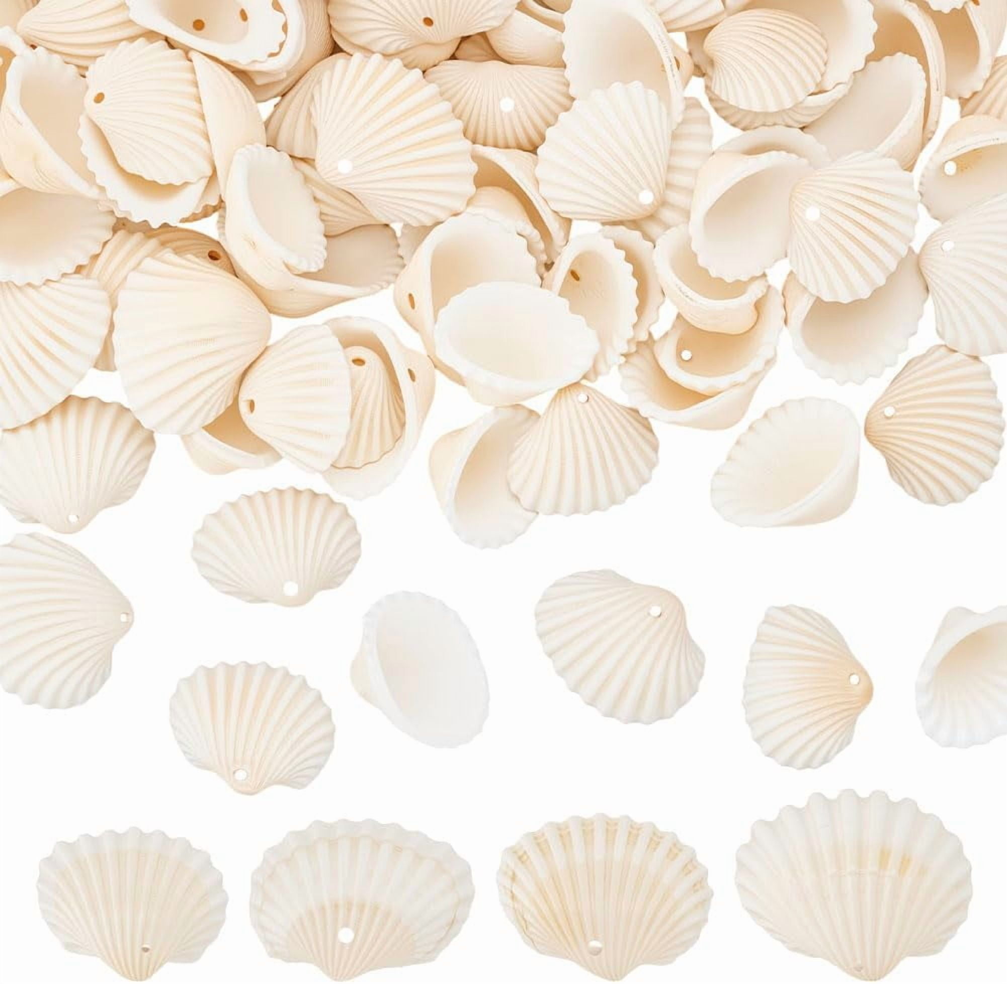 120Pcs Natural Clam Shell Pendants Conch Charms Ocean Theme Beads ...