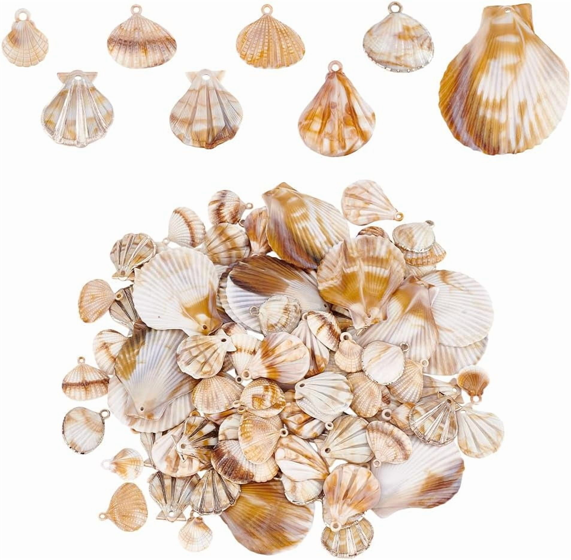 120pcs 8 Styles Shell Pendants Acrylic Scallop Shells Clam Shell Charms Dangle Charms Beach ...