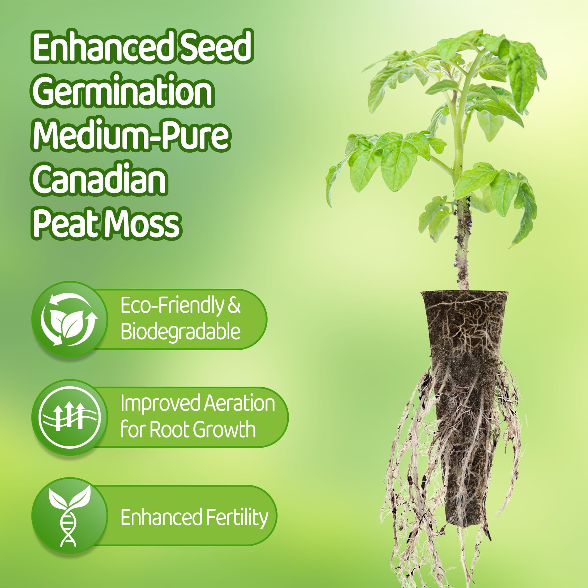 121 Pack Seed Starter Pods Kit for H2FSDAeroGarden, 50pcs Grow Sponges ...