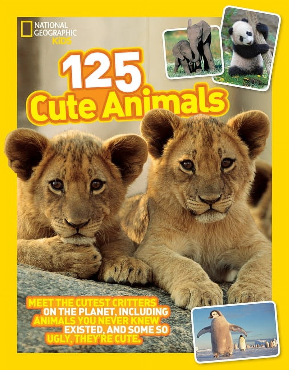 125 Cute Animals : Meet the Cutest Critters on the Planet, Including ...