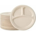 125 Pack 3 Compartment Plates Disposable, 10 inch Heavy-Duty ...