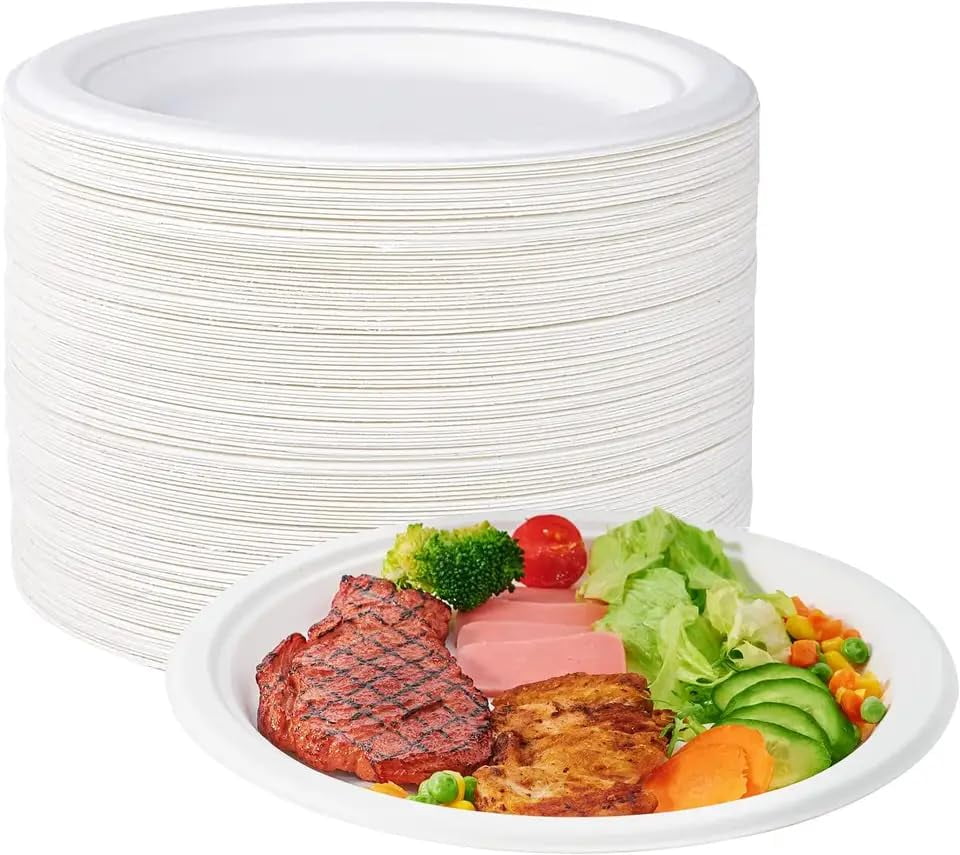 125 Pack Plates Disposable OIF8 Heavy Duty Biodegradable Plates Made of ...